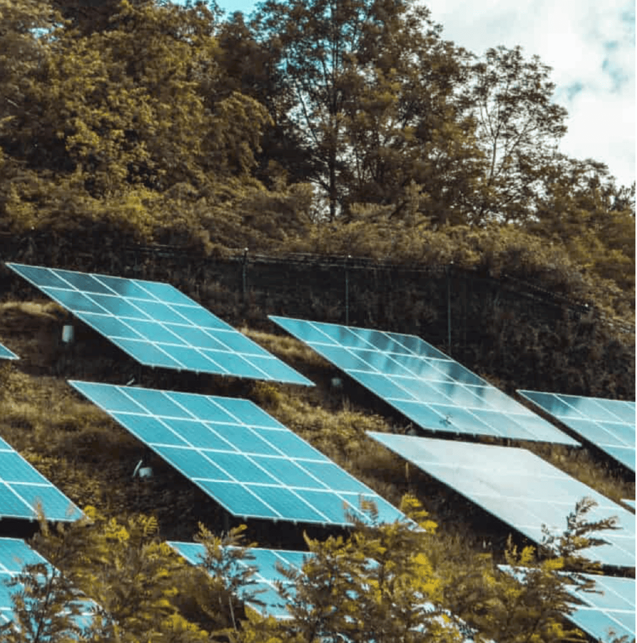 7 Real-World Examples of the Benefits of Solar – Glyde Solar